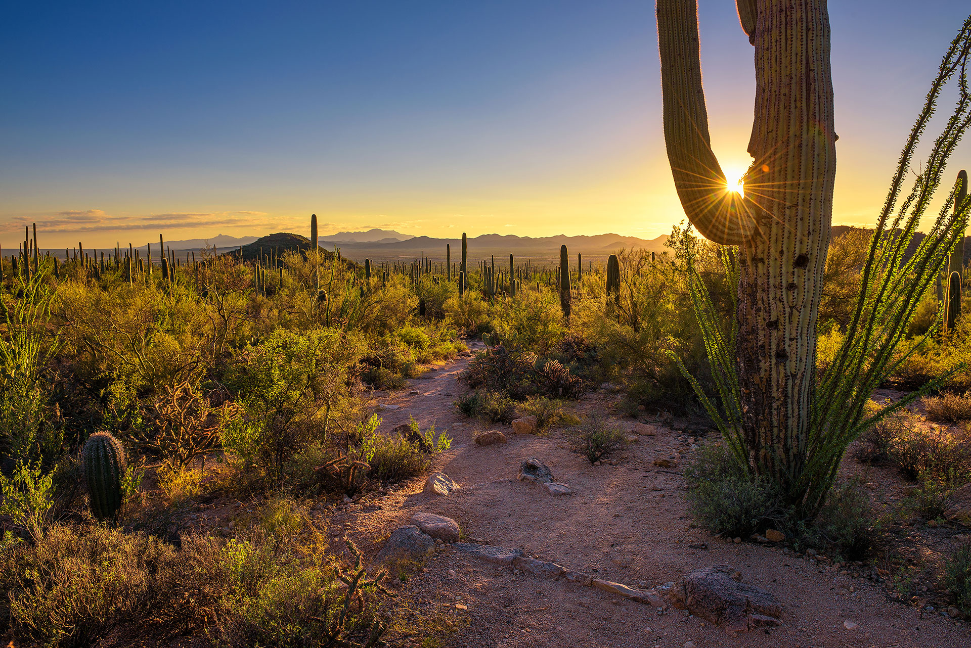 Seville AZ Homes for Sale | Seville Realty | The Poling Team